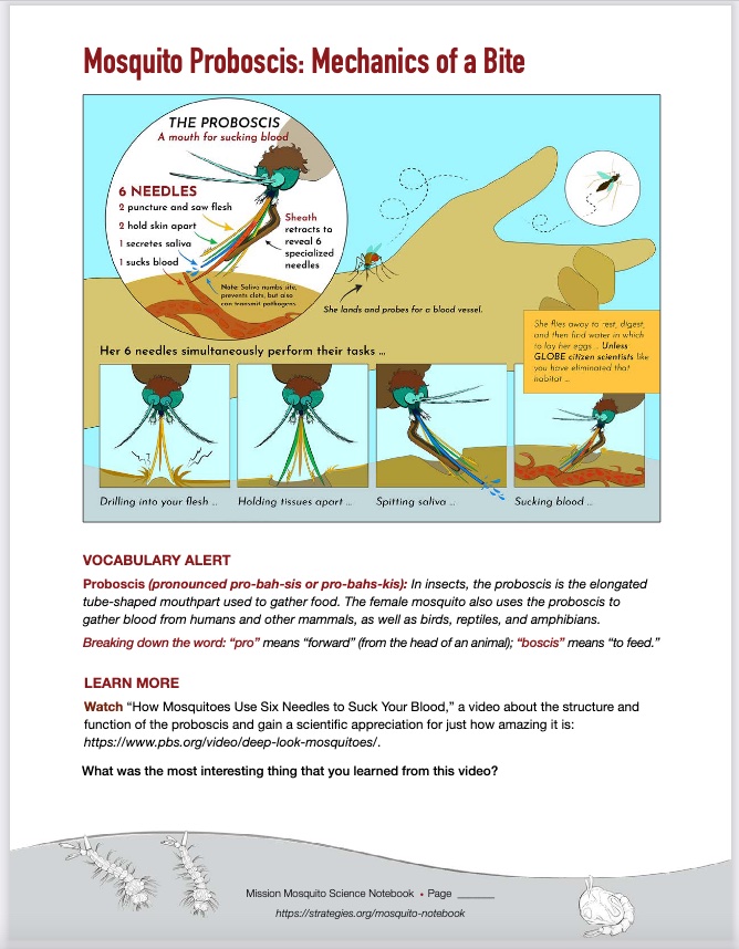 Resources - Mission Mosquito - GLOBE.gov