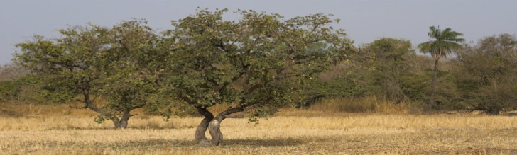 Frank D. Spaziano Elementary School - Mission Earth - GLOBE.gov