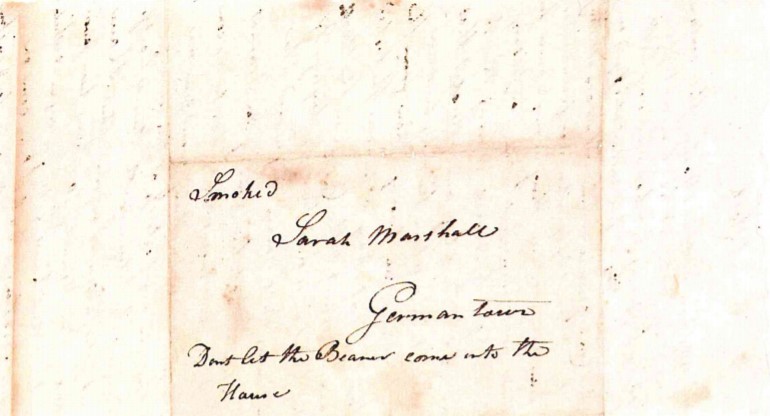 A Malignant Tale (Yellow Fever, 1793 Epidemic) - Mission Mosquito ...